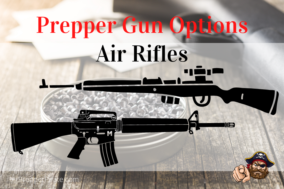 Prepper Gun Options – Air Rifles - Prepper Pirate
